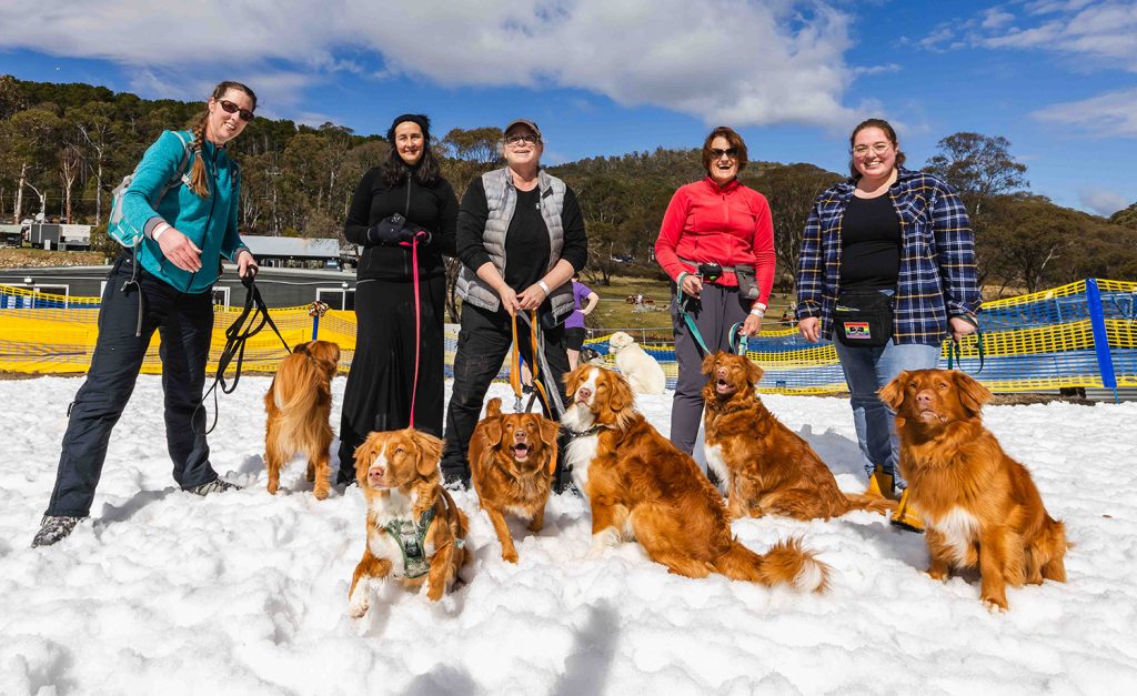 CORIN FOREST IS GOING TO THE DOGS - Snowatch